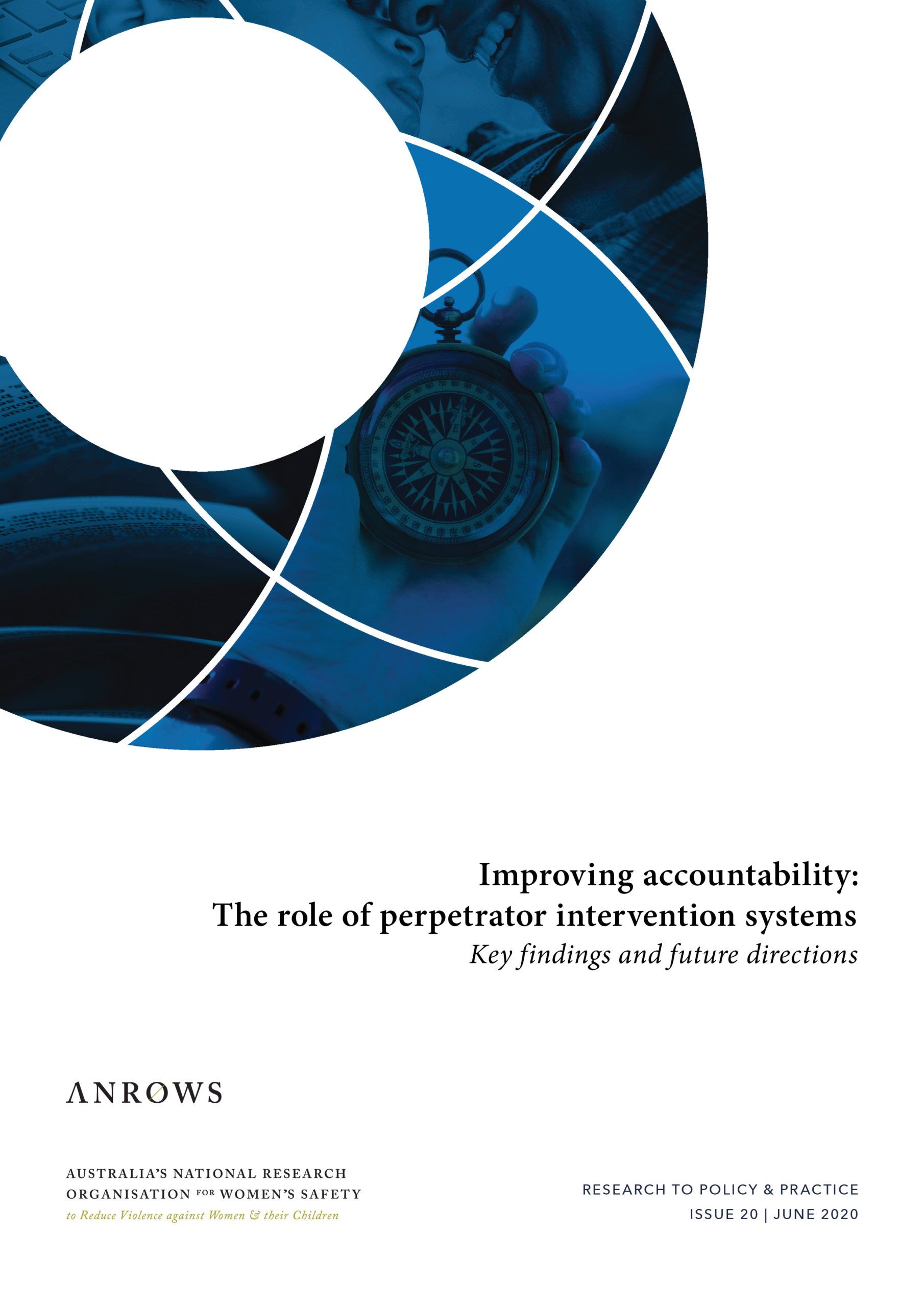 Improved accountability: The role of perpetrator intervention systems ...