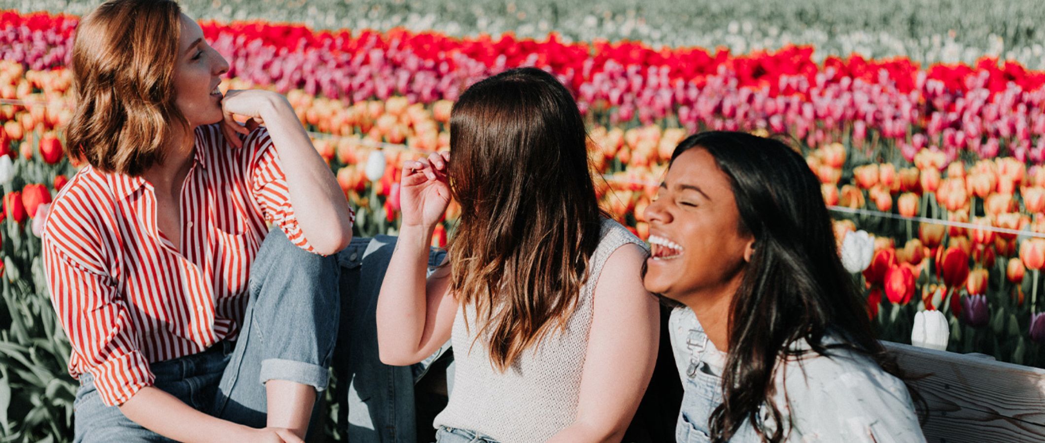 Activities - ANROWS - Australia's National Research Organisation for ...