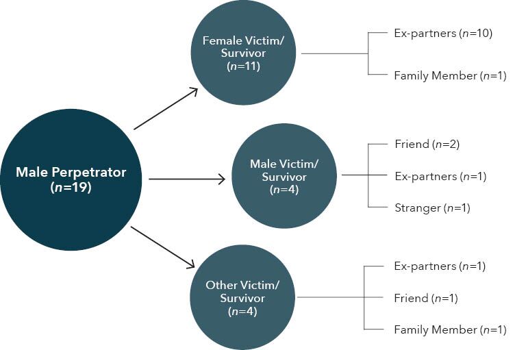 Technology-facilitated abuse: Interviews with victims and survivors and ...