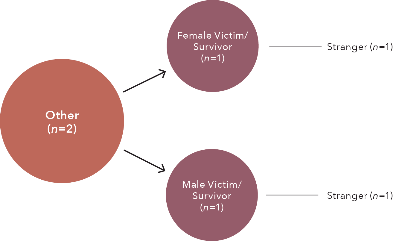 Technology-facilitated abuse: Interviews with victims and survivors and ...